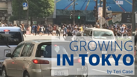 Growing in Tokyo - Day Two – Teri Case